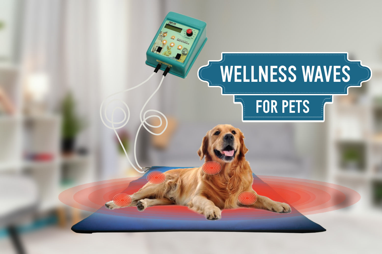 Veterinary Wellness Devices – PEPL Home